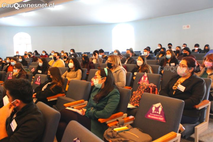 UCM y UTALCA comparten buenas prácticas para el acompañamiento y acceso ...